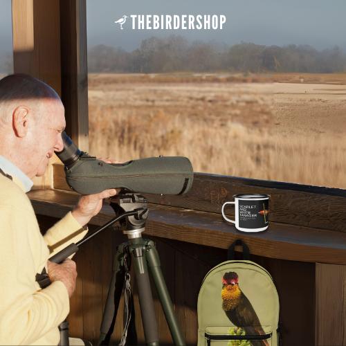 PICULET BIRDING – Piculet Birding